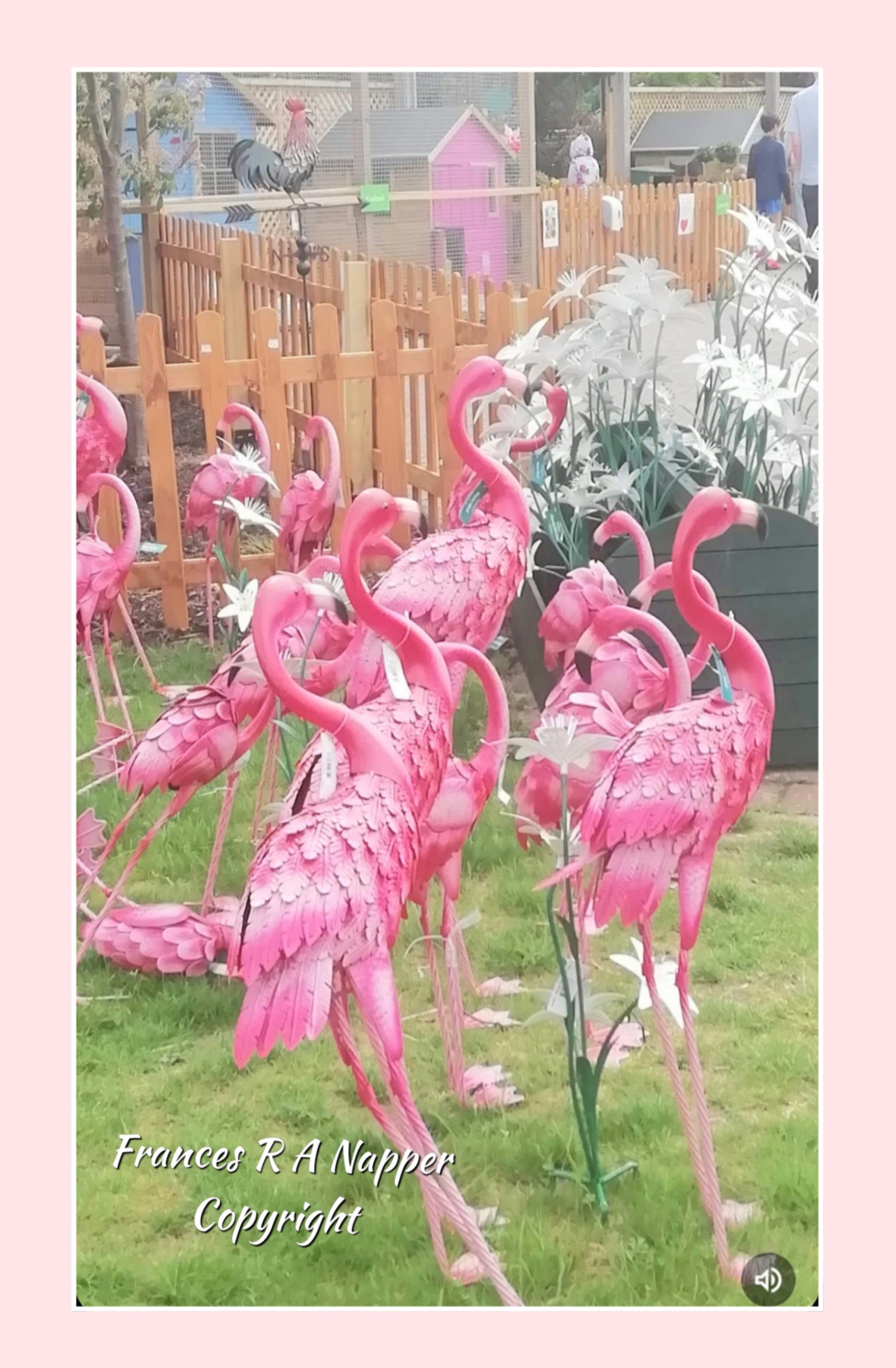 Van Hage Garden Centre – SmileyRose Ramblings by Frances Rose Agnes ...