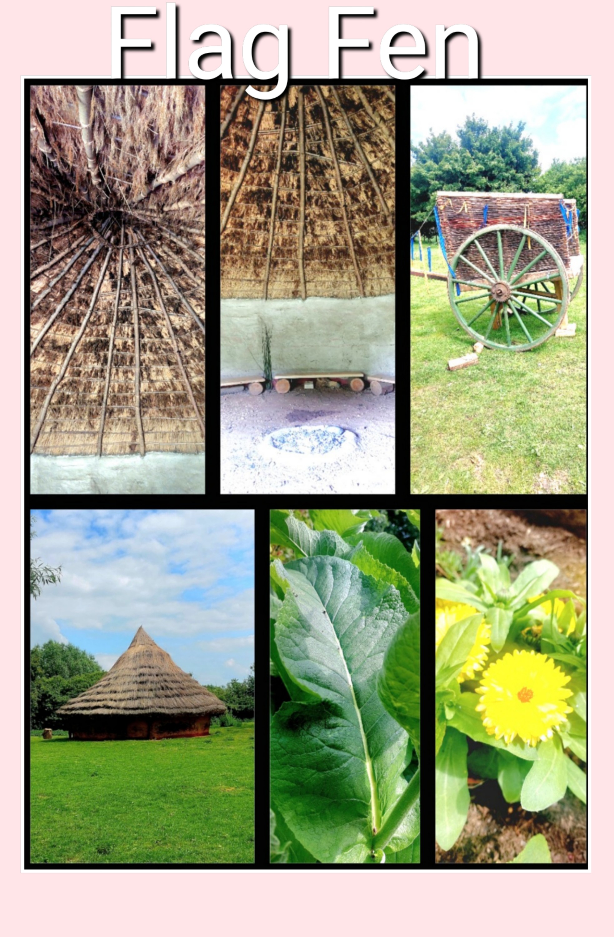 A Walk Around Flag Fen – SmileyRose Ramblings by Frances Rose Agnes ...