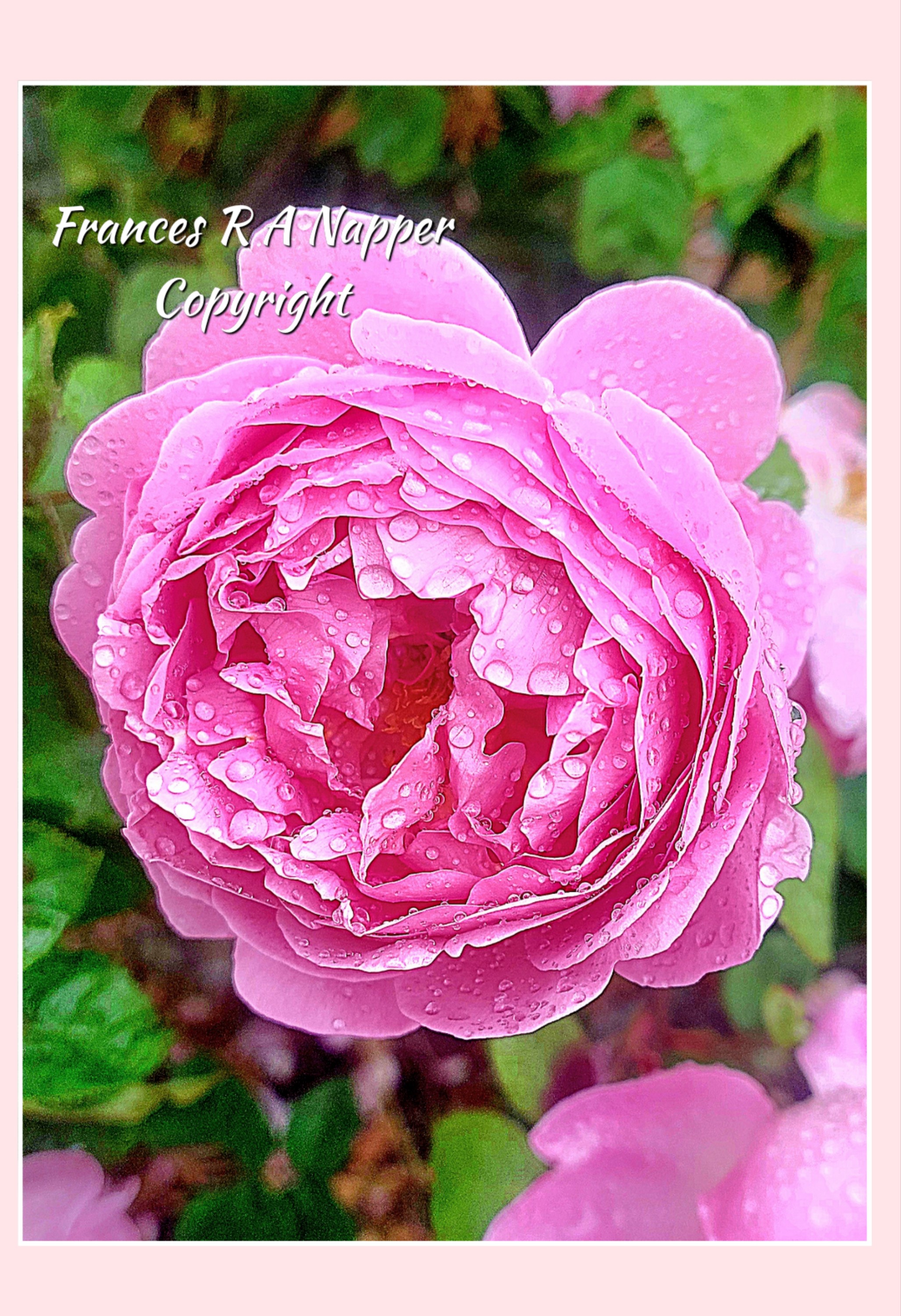 Sitting Underneath A Tree…..At Ashby Castle – SmileyRose Ramblings by ...