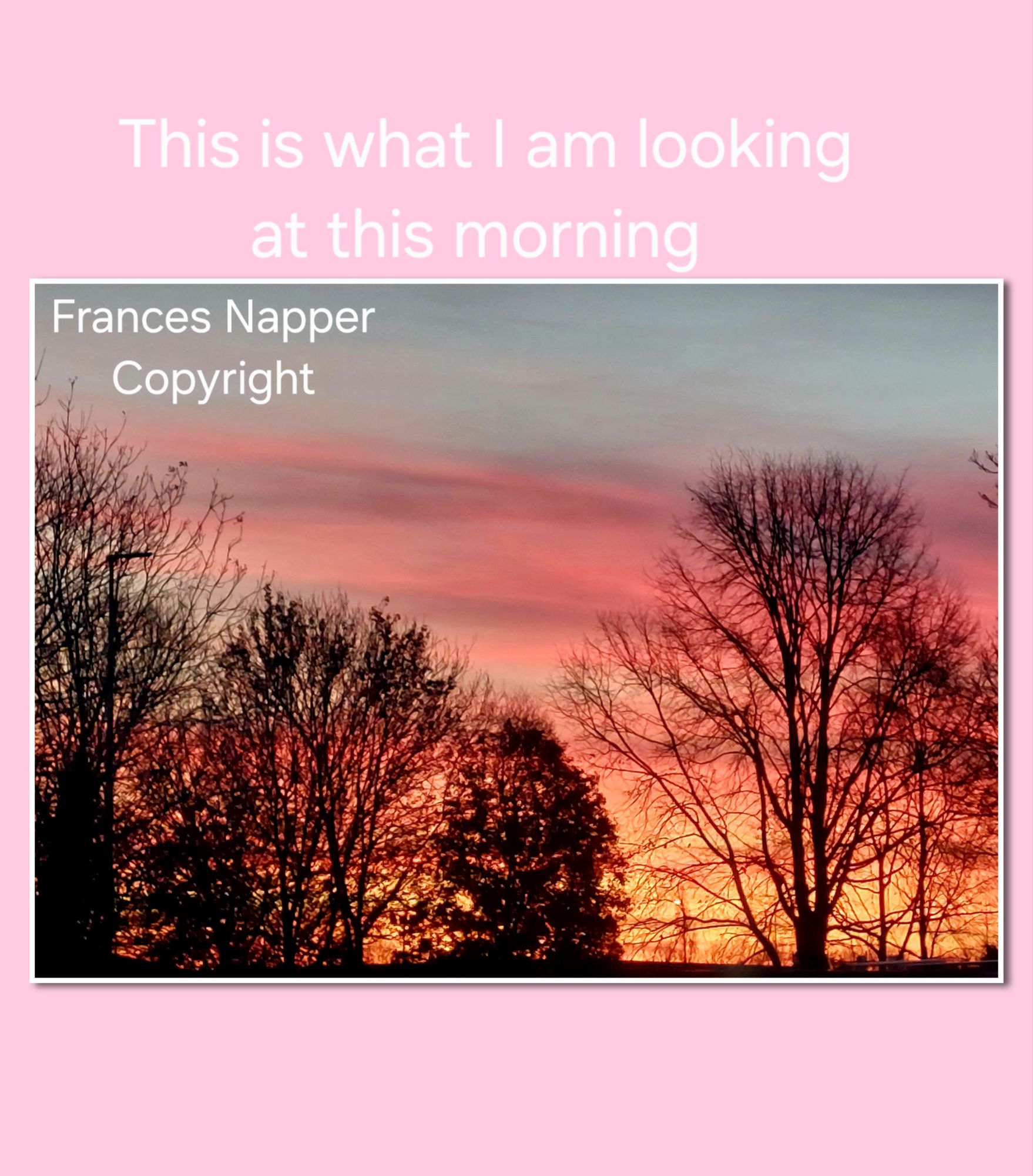 So Colourful – SmileyRose Ramblings by Frances Rose Agnes Napper (She/Her)