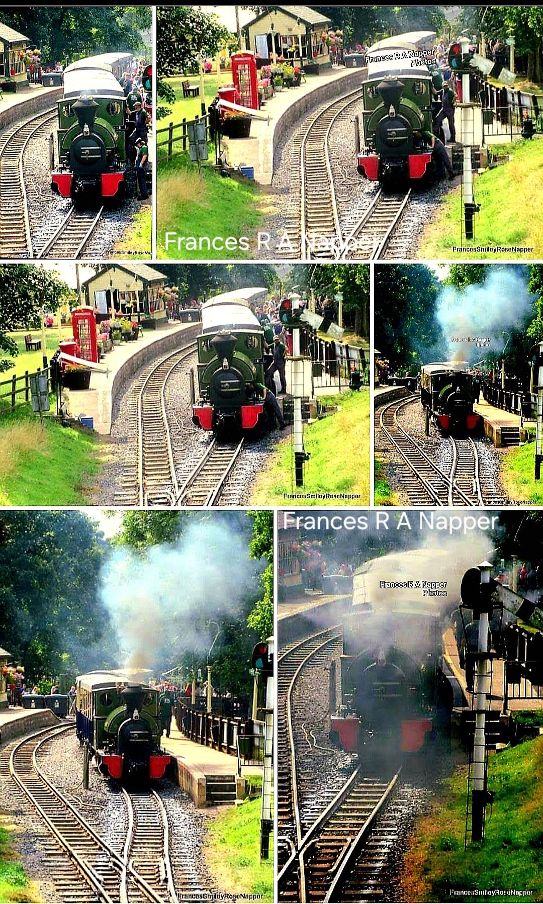 The Primrose Railway Children | SmileyRose Ramblings by Frances Rose ...